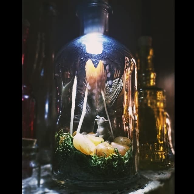 Gallery - Gnarled By Nature